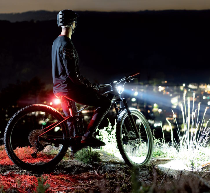 MonkeyLink Licht, Schutzblech & Zubehör online kaufen & bikester.ch